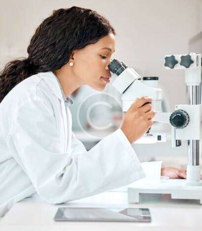 Company Overview – Virupaksha Organics Limited